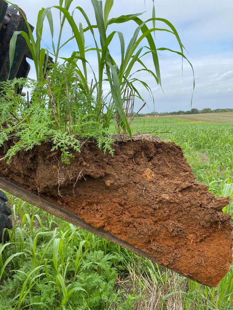 PROGRAMME TERRE FERTILE : OPTIMISER SON CAPITAL SOL | La Coopération Agricole